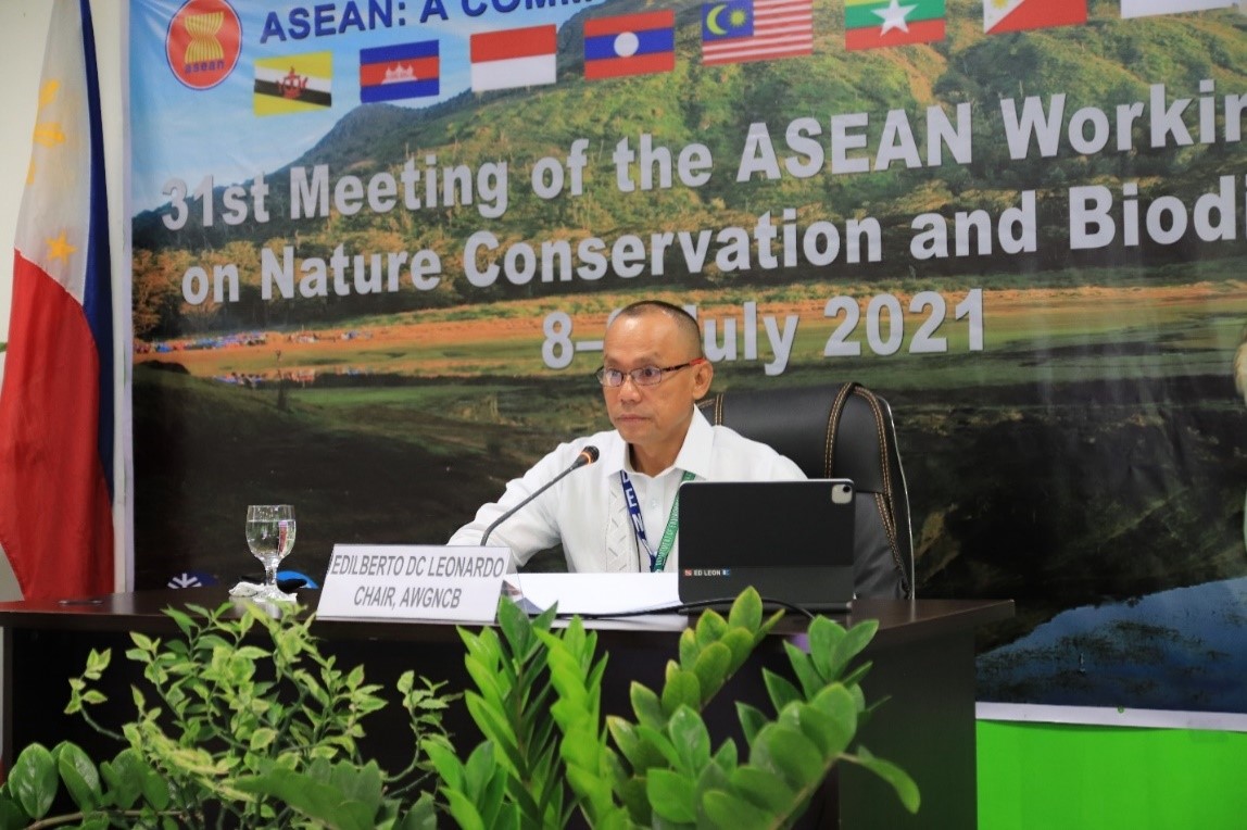 PH Chairs the 31st Meeting of the ASEAN Working Group on Nature ...