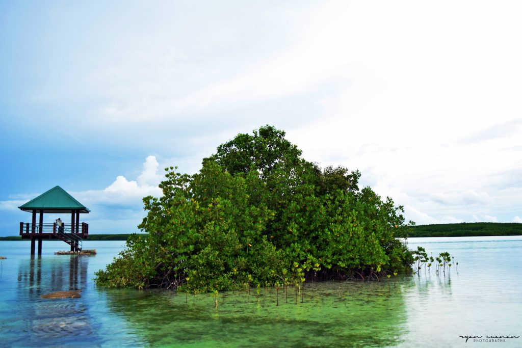 Protected Areas Philippine Clearing House Mechanism