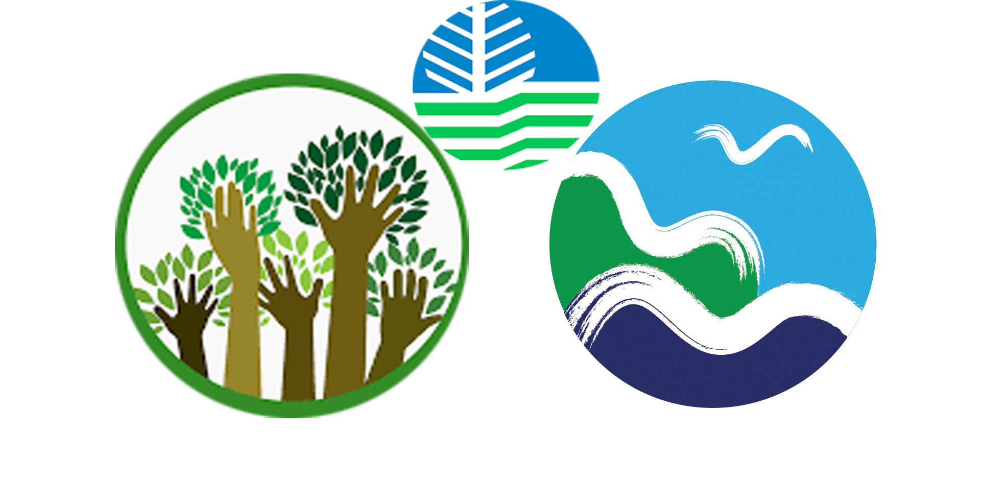 DENR suspends transport of Forest Products and Wildlife Philippine ...
