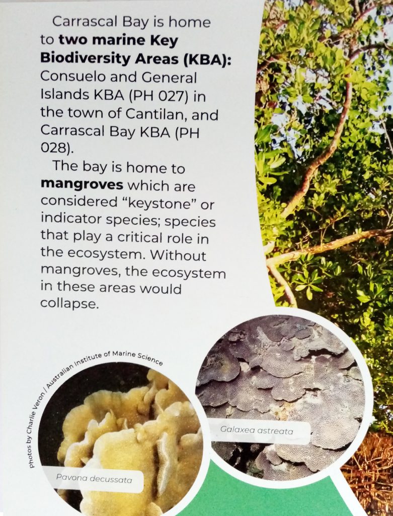 SMARTSeas PH Project Philippine Clearing House Mechanism