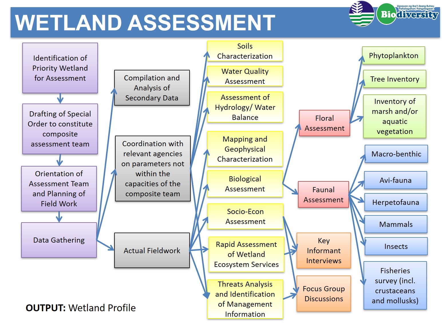 Wetlands Philippine Clearing House Mechanism